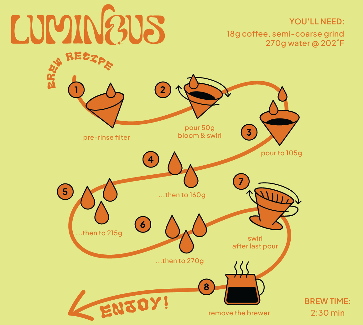 VENEZUELA ANAEROBIC HOHEY - LUMINOUS COFFEE